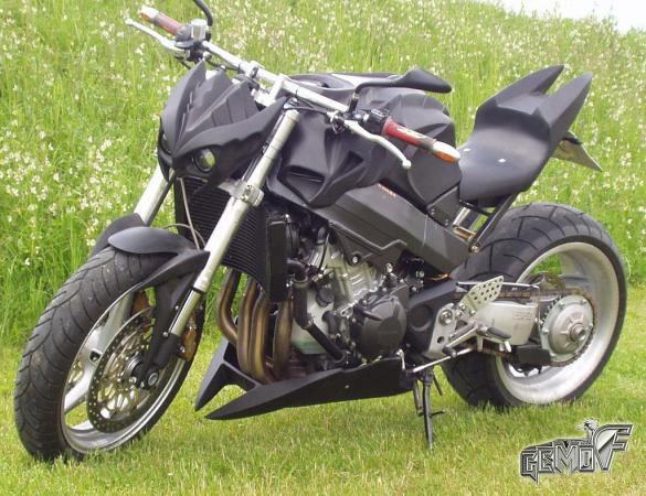 GEMO-Fighters Fighter Einmann-Heck 'Destroyer' - Motofreakz