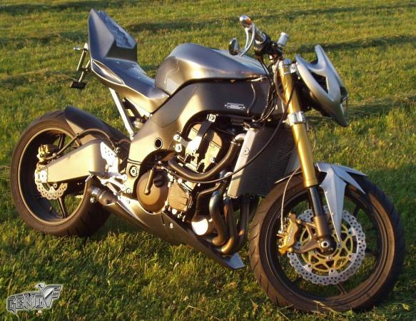 GEMO-Fighters Bugspoiler für Kawasaki ZX10R - Motofreakz